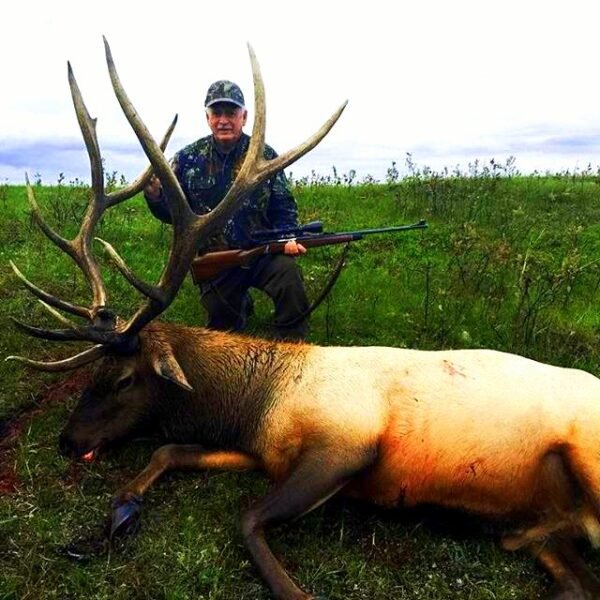 Elk Hunts in Canada | Trophy Rocky Mountain Elk