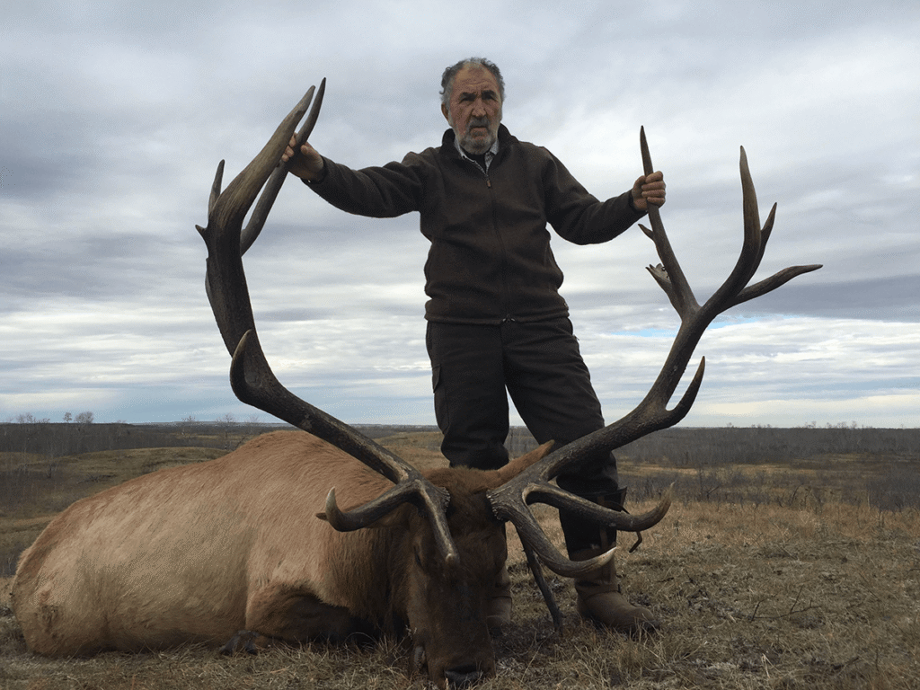 Elk Hunts in Canada | Trophy Rocky Mountain Elk