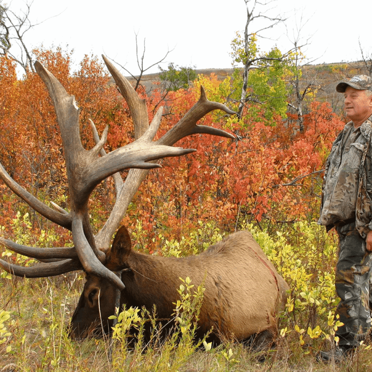 Elk Hunts in Canada | Trophy Rocky Mountain Elk
